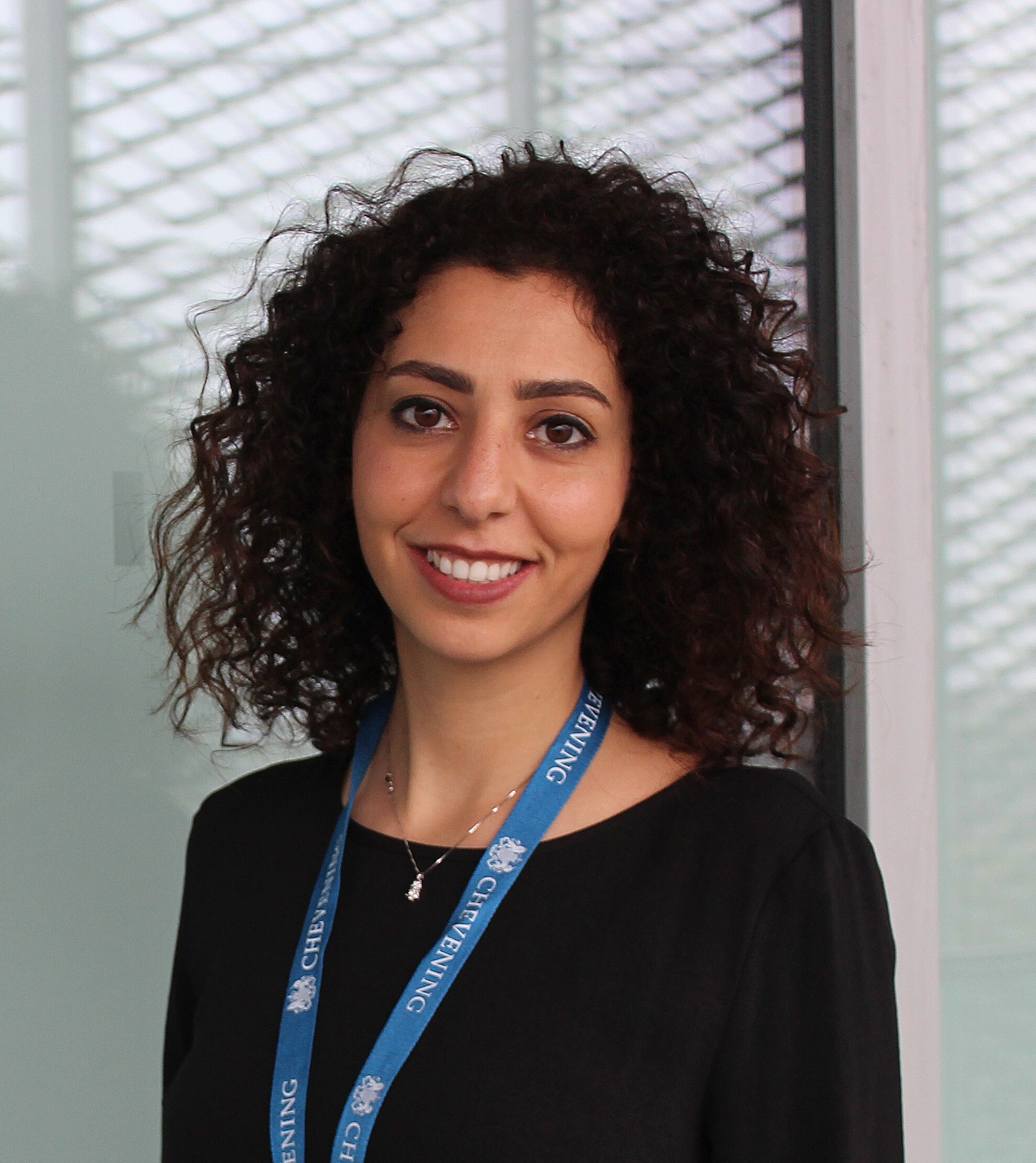 Assessing Climate Vulnerabilities in Amman City | Carnegie Endowment ...