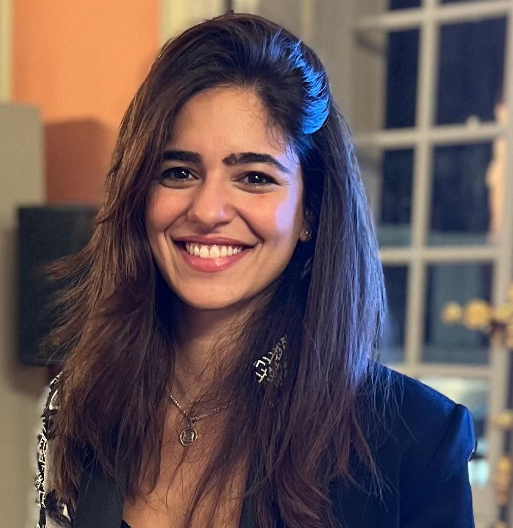 Arab Diaspora Entrepreneurs in Egypt | Carnegie Endowment for ...