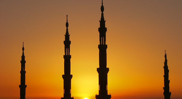 Pan-Islamic Connections: Transnational Networks Between South Asia and ...