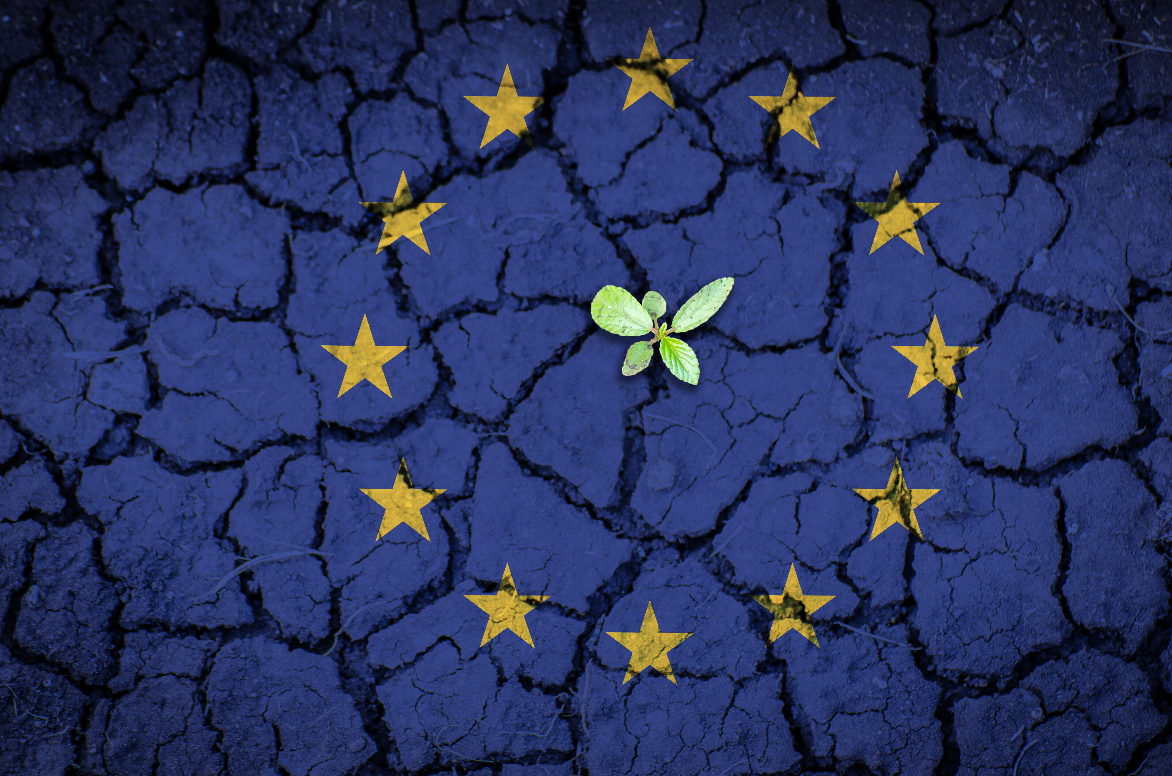 The EU and Climate Security: Toward Ecological Diplomacy | Carnegie ...